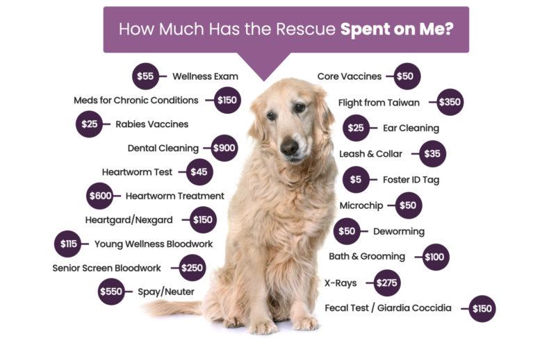 Adoption Fees True Love Rescue