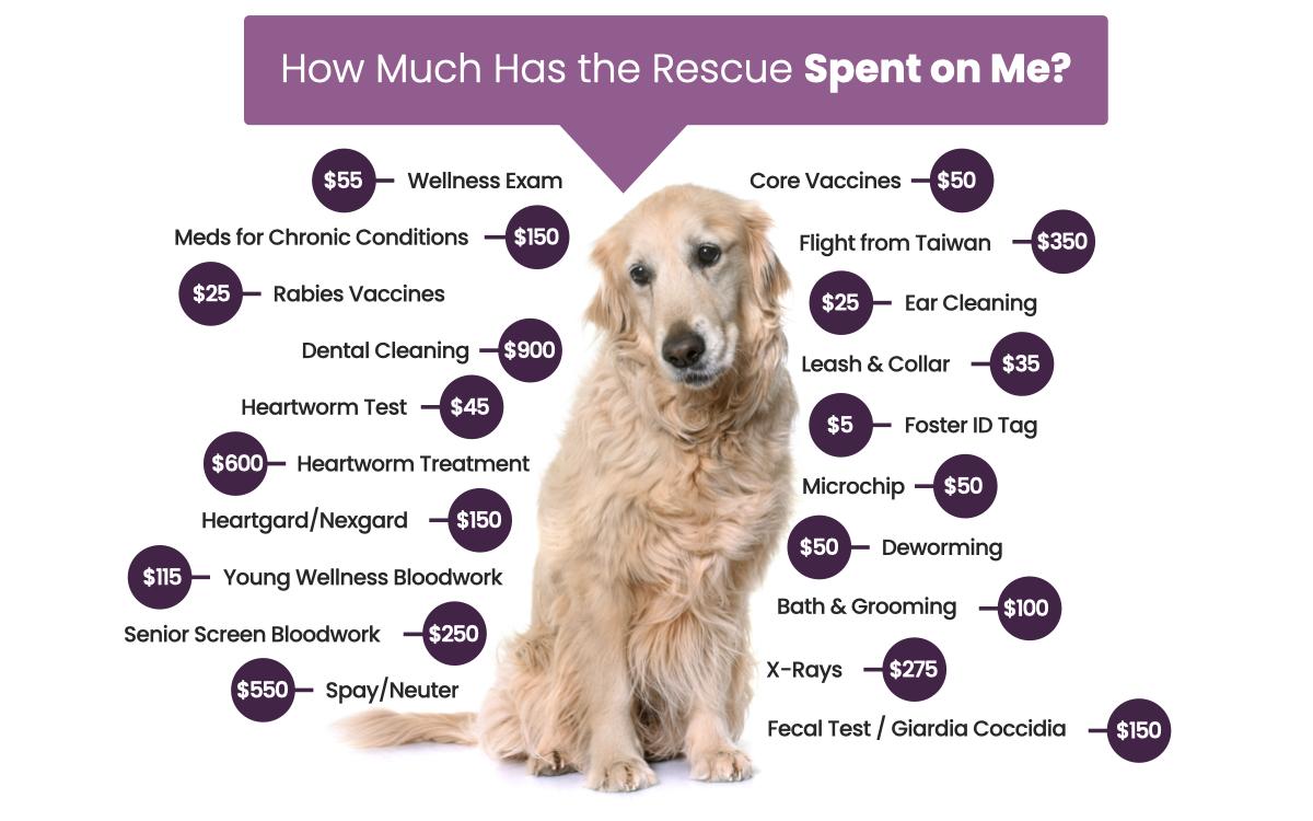 Adoption Fees True Love Rescue